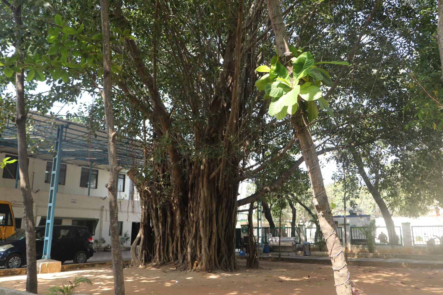 Dr. MGR Janaki College of Arts and Science for Women